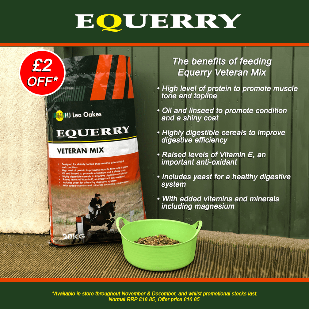 Equerry Veteran Mix 20kg Click & Collect - Manor Equestrian