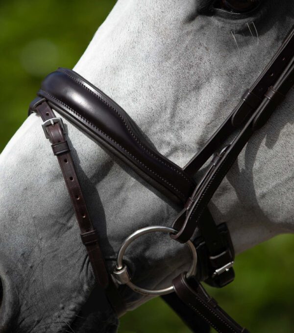 Premier Equine Rizzo Anatomic Flash Noseband - Manor Equestrian