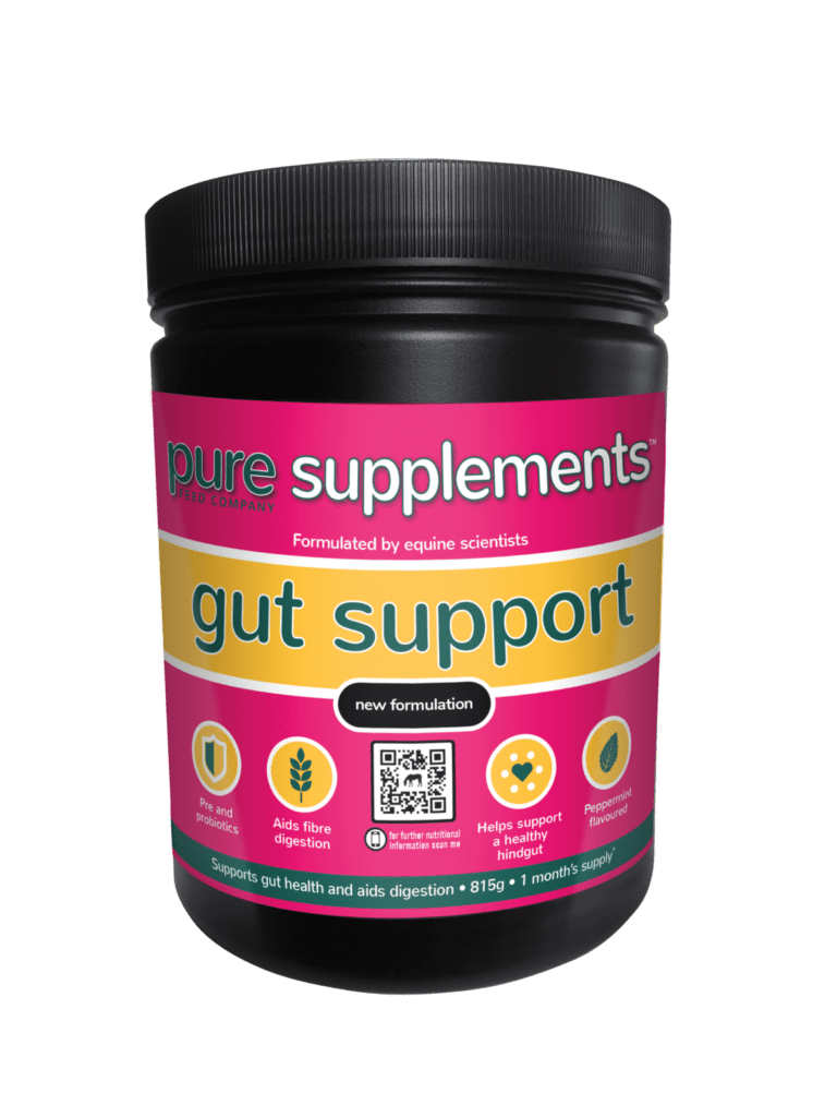 Pure Feed Gut Support 815g - Manor Equestrian