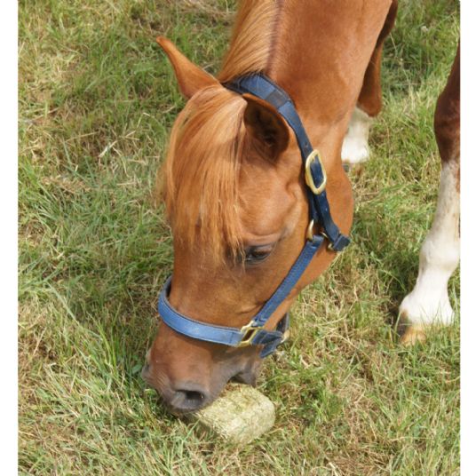 Simple System Lucie Brix Single 1kg - Manor Equestrian