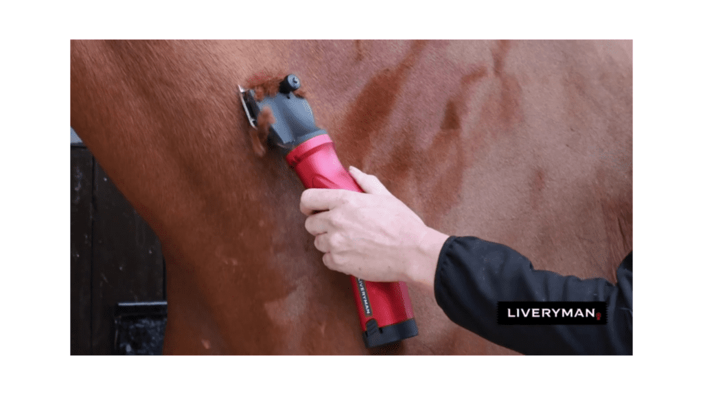 Liveryman Phoenix Clipper - Manor Equestrian
