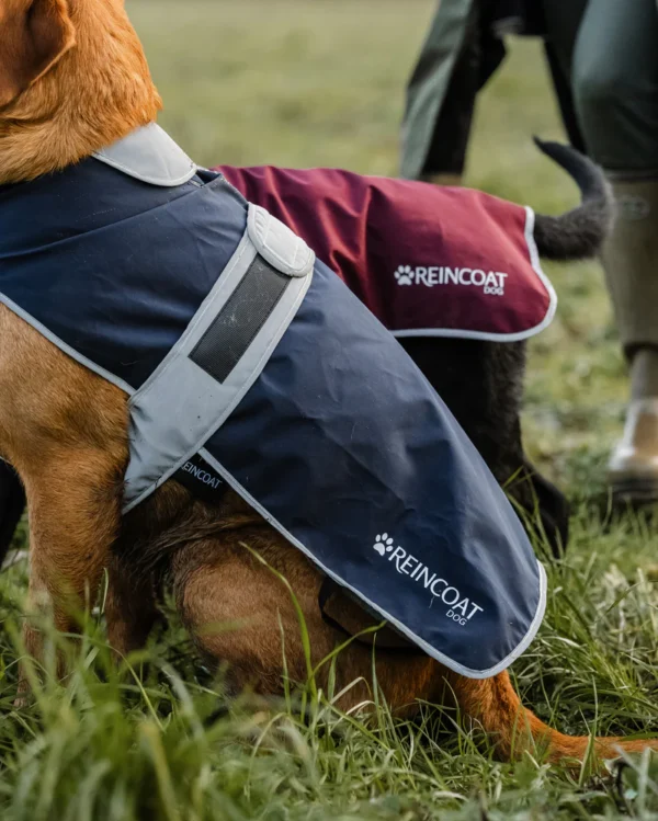 Reincoat Waterproof Dog Coat - Manor Equestrian