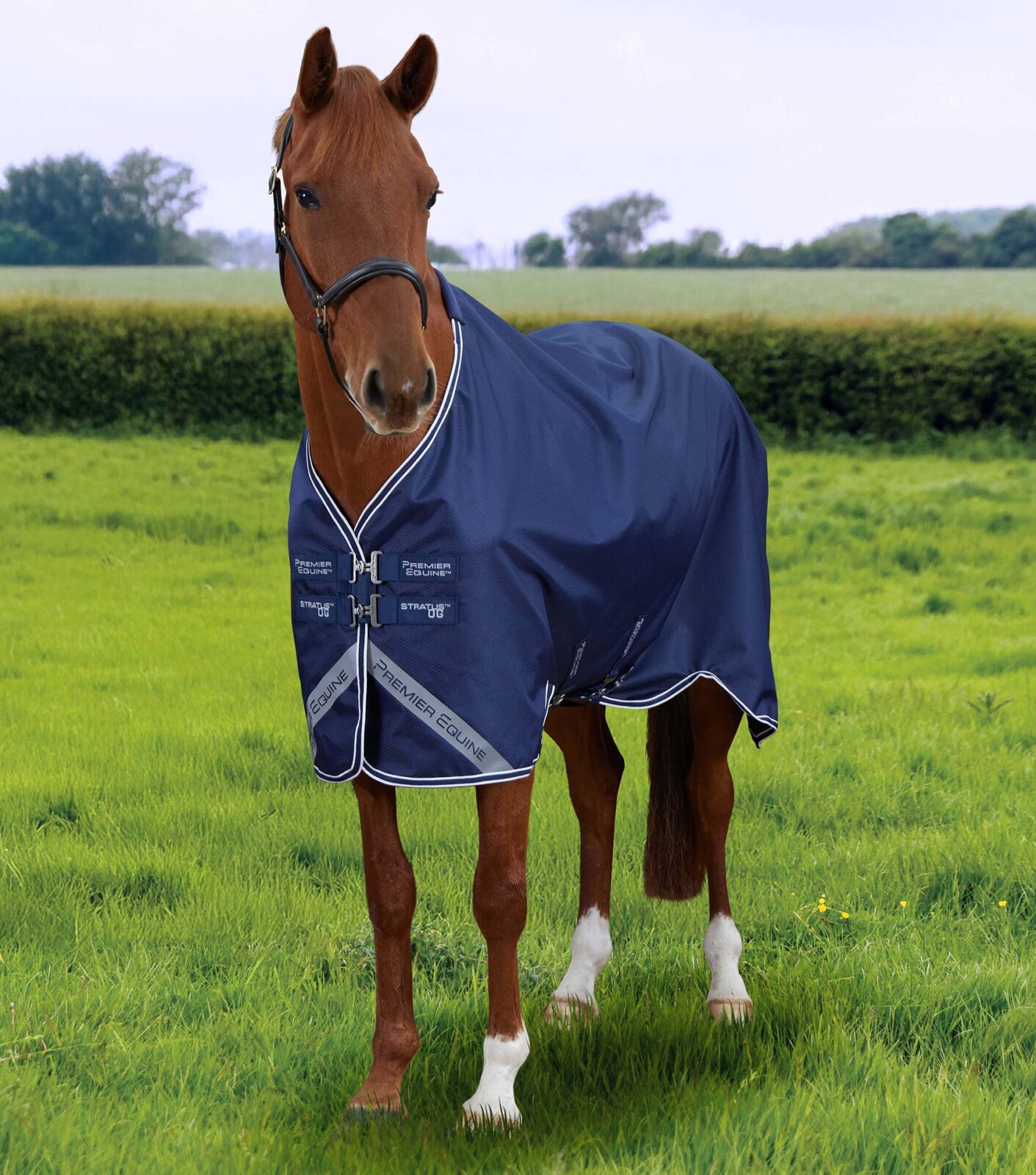Premier Equine Original 0g Turnout Rug -Stratus 600D Series - Manor ...