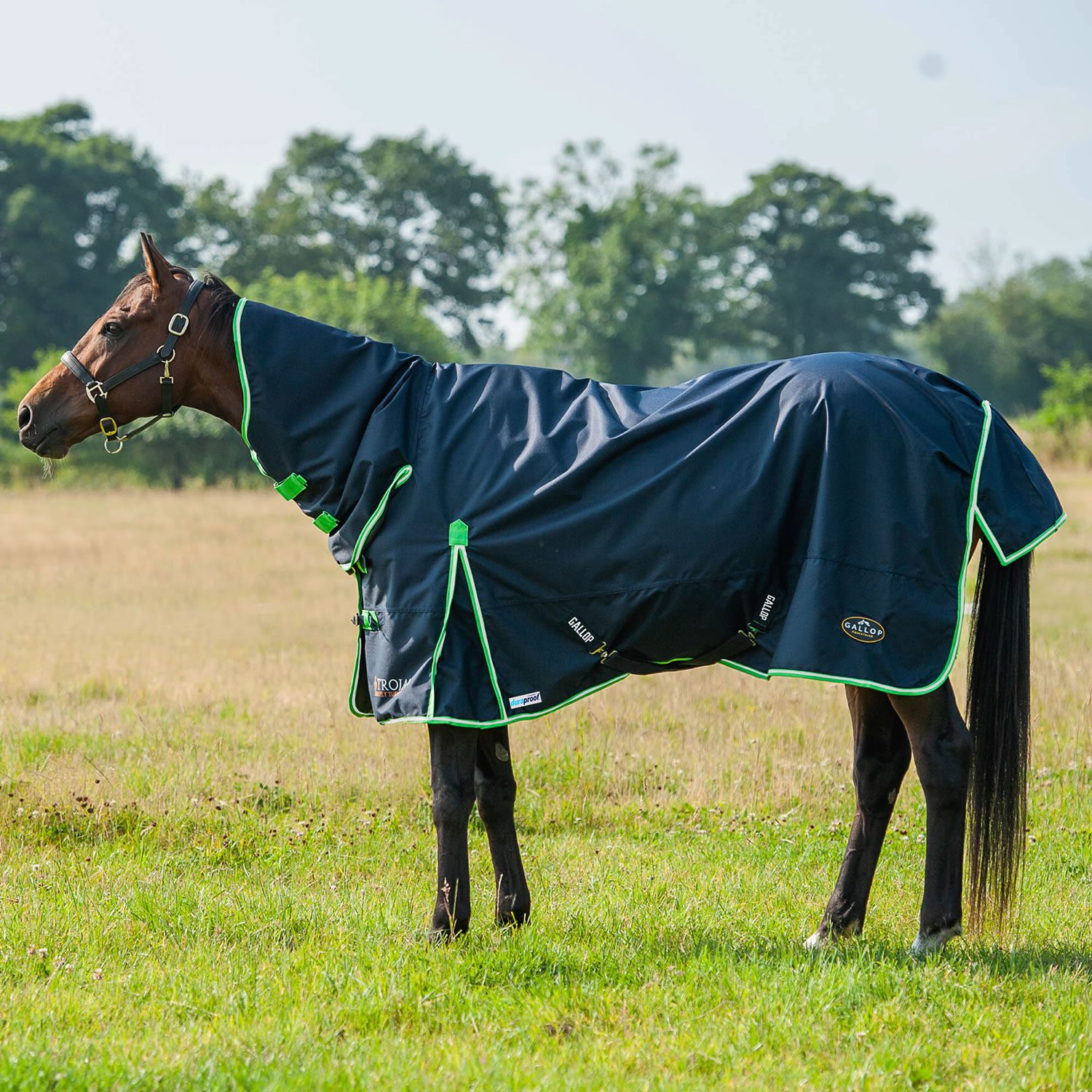 Gallop Trojan Duraproof Lightweight Turnout Combo - Manor Equestrian