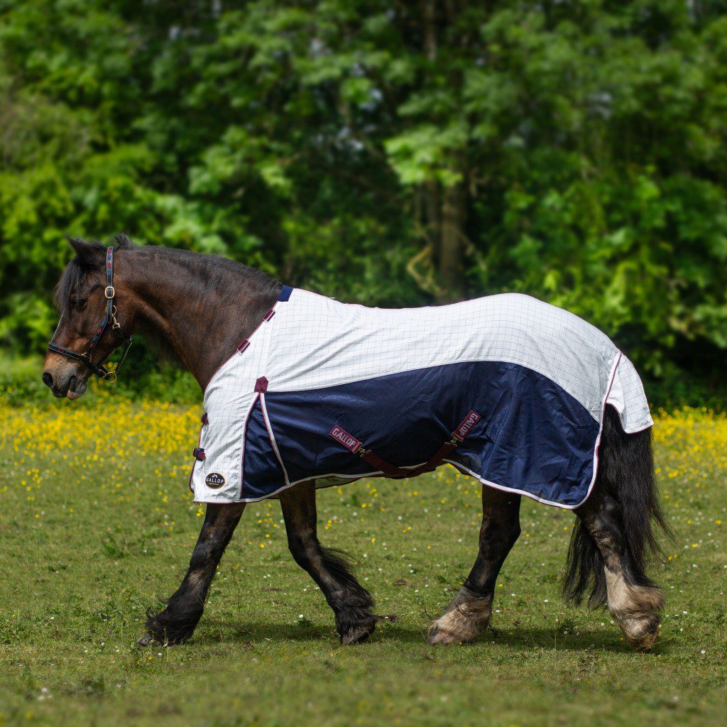 Gallop Air Mesh Dual Cooler - Manor Equestrian
